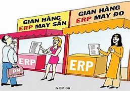 Các loại giải pháp phần mềm ERP tại Việt Nam hiện nay